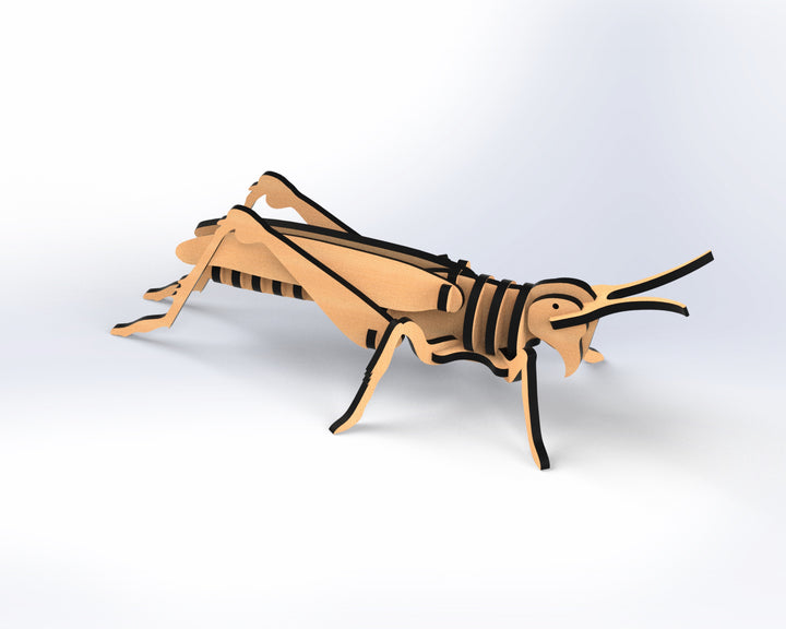 SVG Laser Cut Grasshopper DIY Digital Download – Laser Cut File Archive